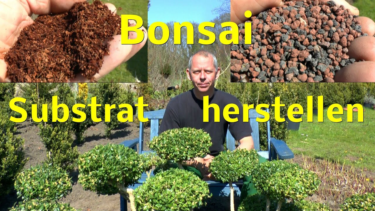 Bonsai Substrat selber mischen - YouTube