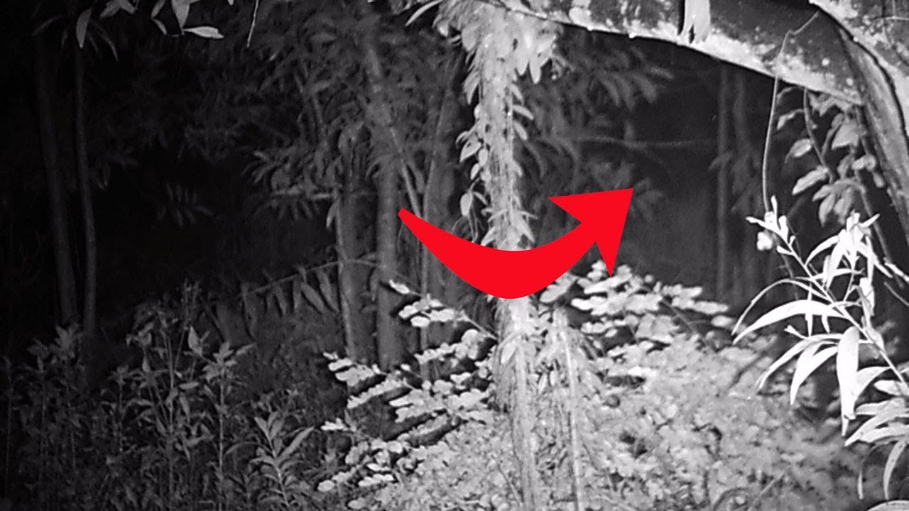 Ghosts Caught On Camera in Malaysia Jungle With Night Vision Paranormal ...
