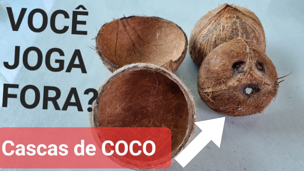Como Fazer Artesanato Para Ganhar Dinheiro com Cascas de COCO | Faca e ...