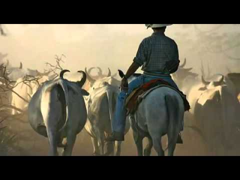 Goiano e Paranaense - Casa de Capim - Reliquia da música Sertaneja ...