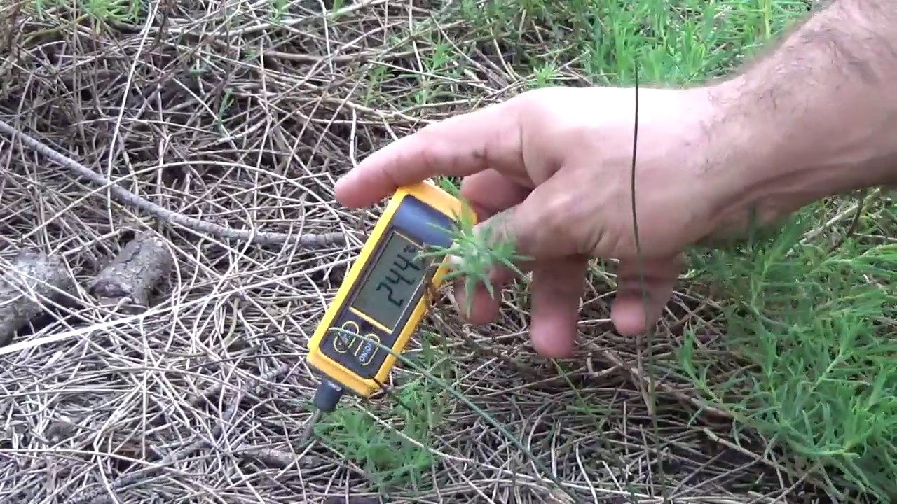 Transect equipment use - YouTube