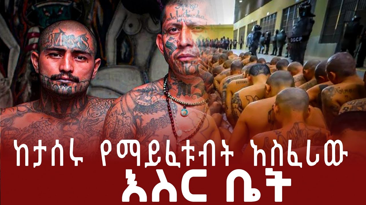 ከታሰሩ የማይፈቱብት እጅግ አስገራሚው እስር ቤት በኤልሳቫዱር ከተማ // CECOT, El Salvador's mega ...
