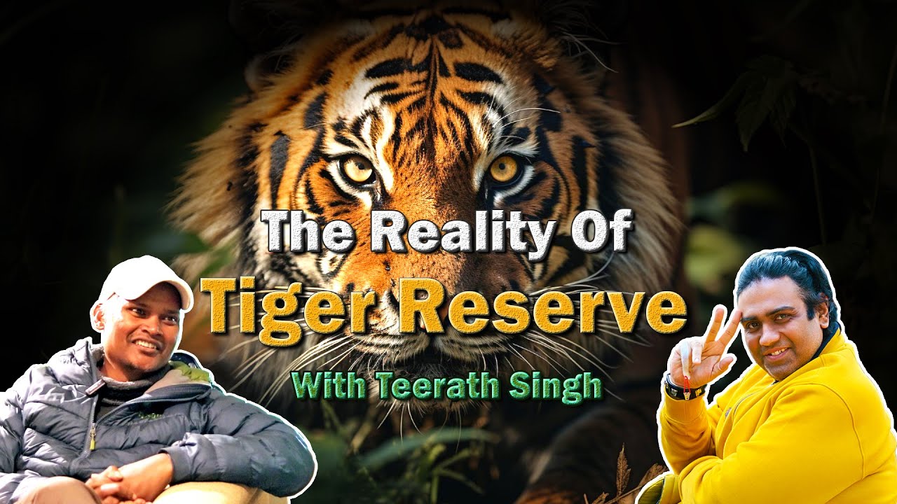 Teerath Singh : Explaining Tiger Reserve Life | #youtube #viralvideo # ...