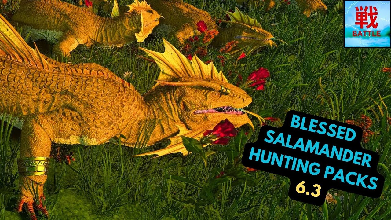 Are Blessed Salamander Hunting Packs Any Good in Patch 6.3? - Lizardmen Unit Focus - YouTube
