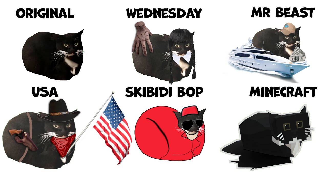 popular versions of Maxwell cat (part 1) - YouTube