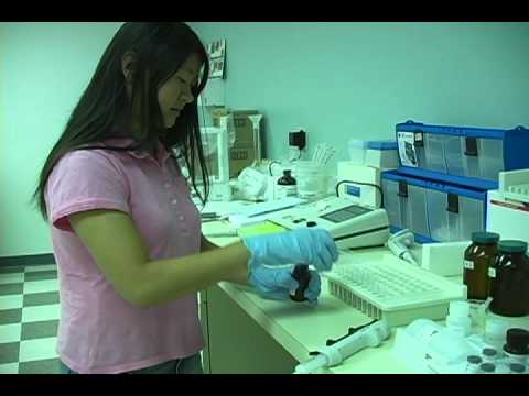 ELISA Kit - YouTube
