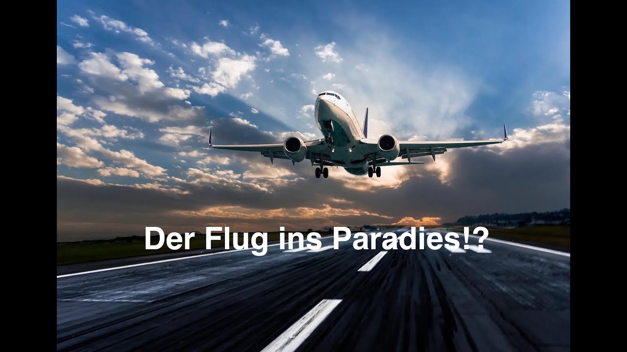 Madeira wir kommen! Flug nach Madeira ️🌅⛰️ - YouTube