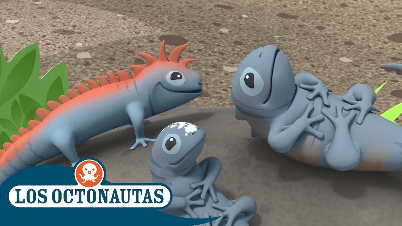 Los Octonautas Oficial en Español - Picnic de Kwazii con Iguanas ...