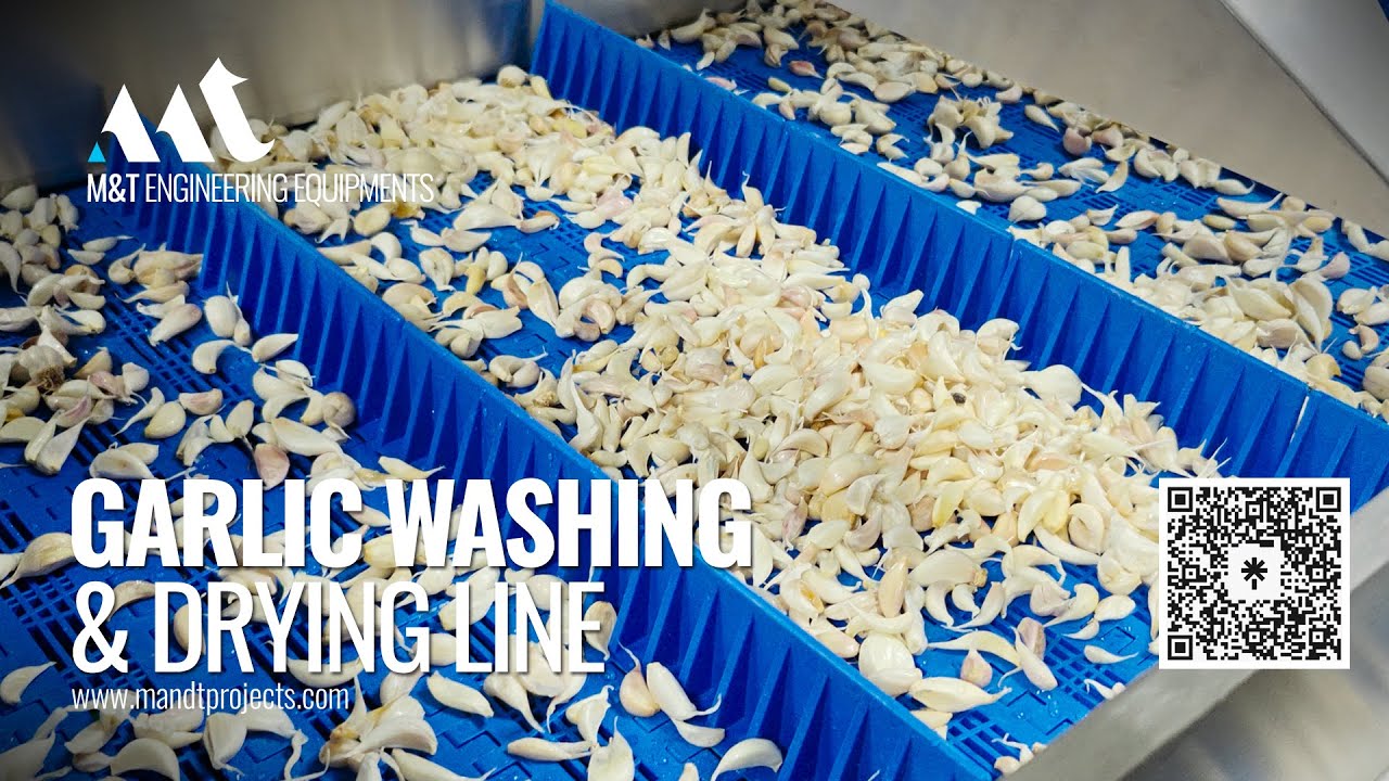 Garlic processing line, Garlic Frozen processing Line, garlic Dehydration Processing Line. - YouTube