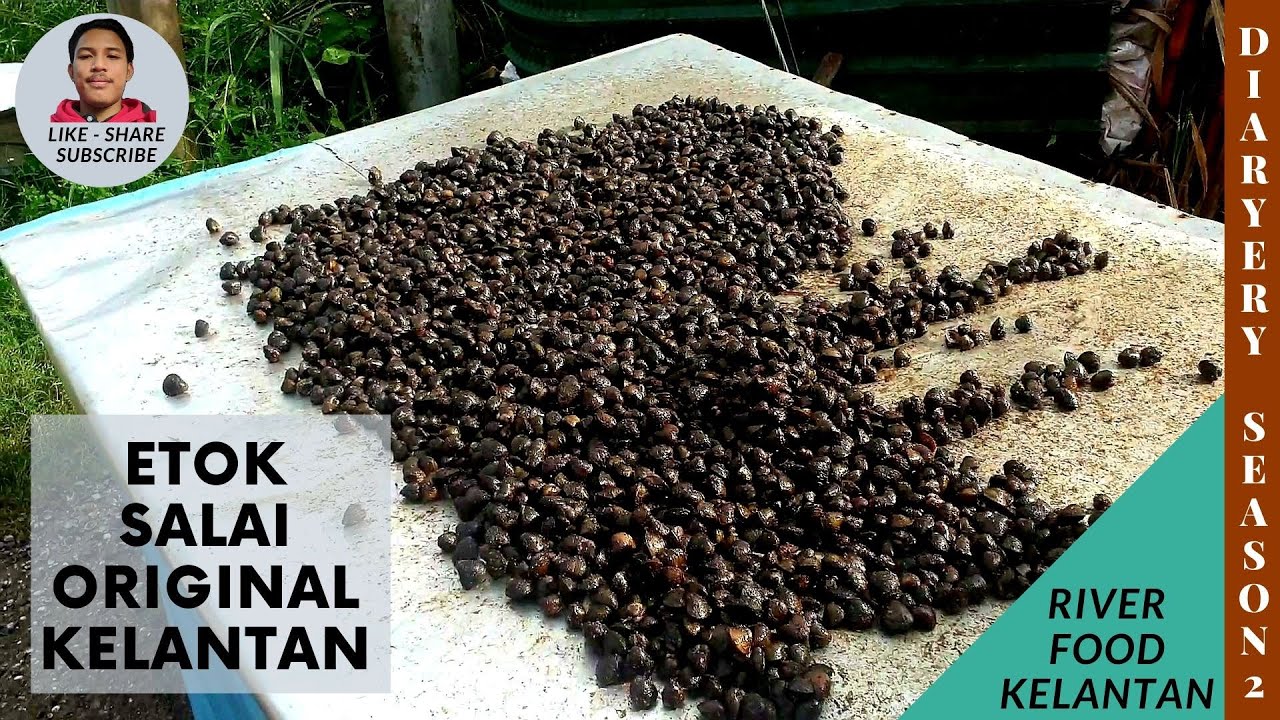 S2 EP14 : Etok Salai Sedap Original Kelantan | Etok Kasa dan Etok ...