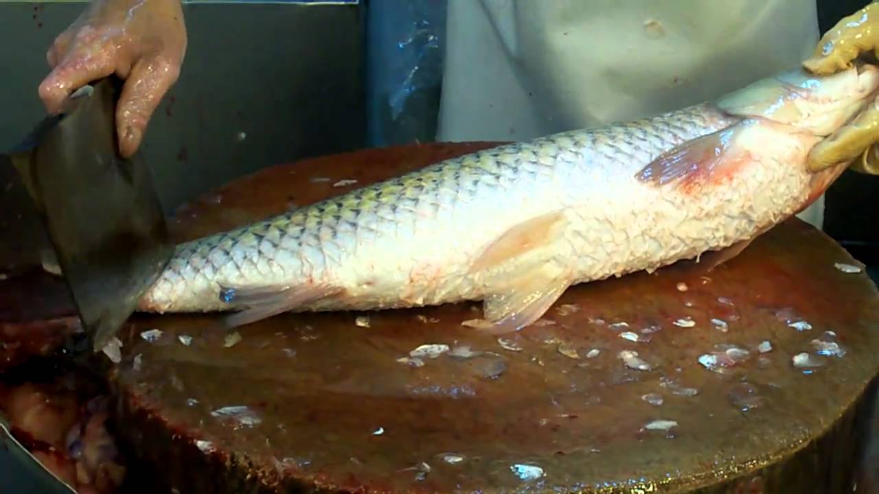 HK cutting carp - YouTube