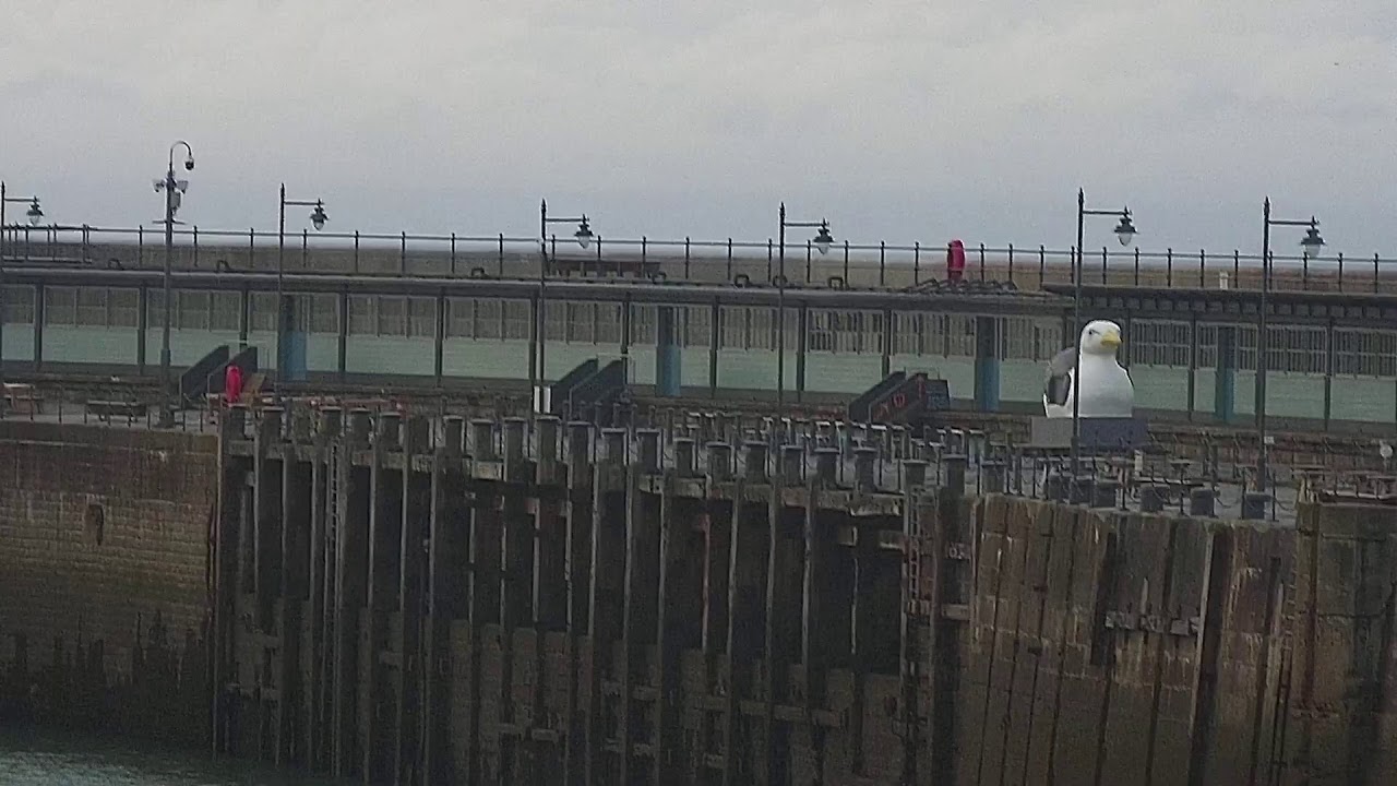 Folkestone Harbour & Seafront Development Co. Live Stream - YouTube