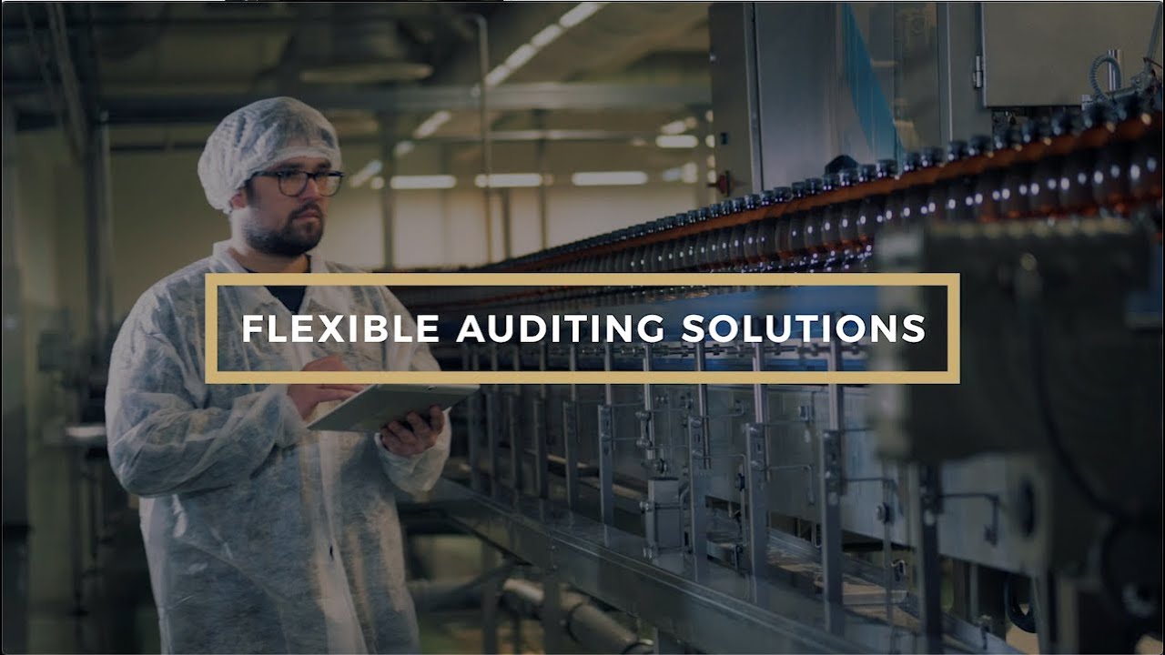 Flexible Auditing Solutions - YouTube