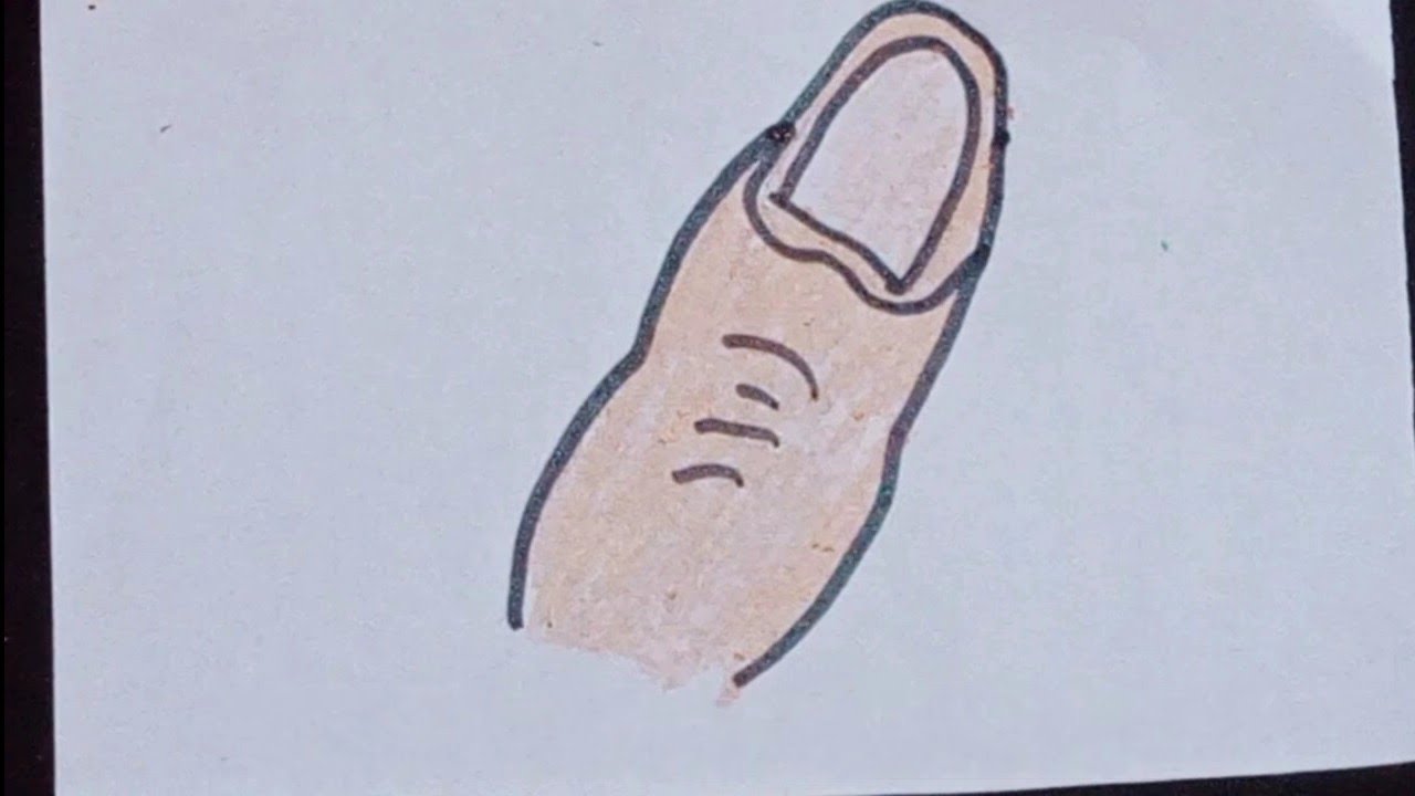 How to Draw Thumb in Easy Method - YouTube
