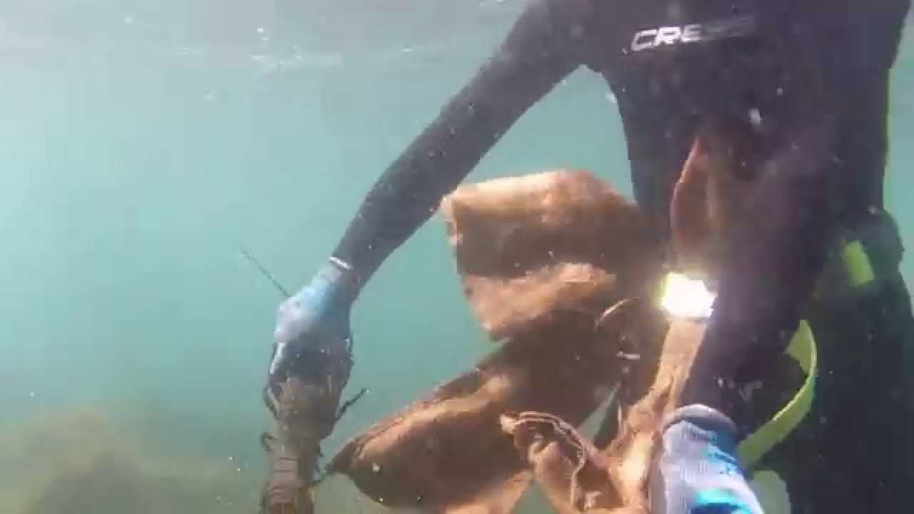 Cray Diving on The South Coast - YouTube