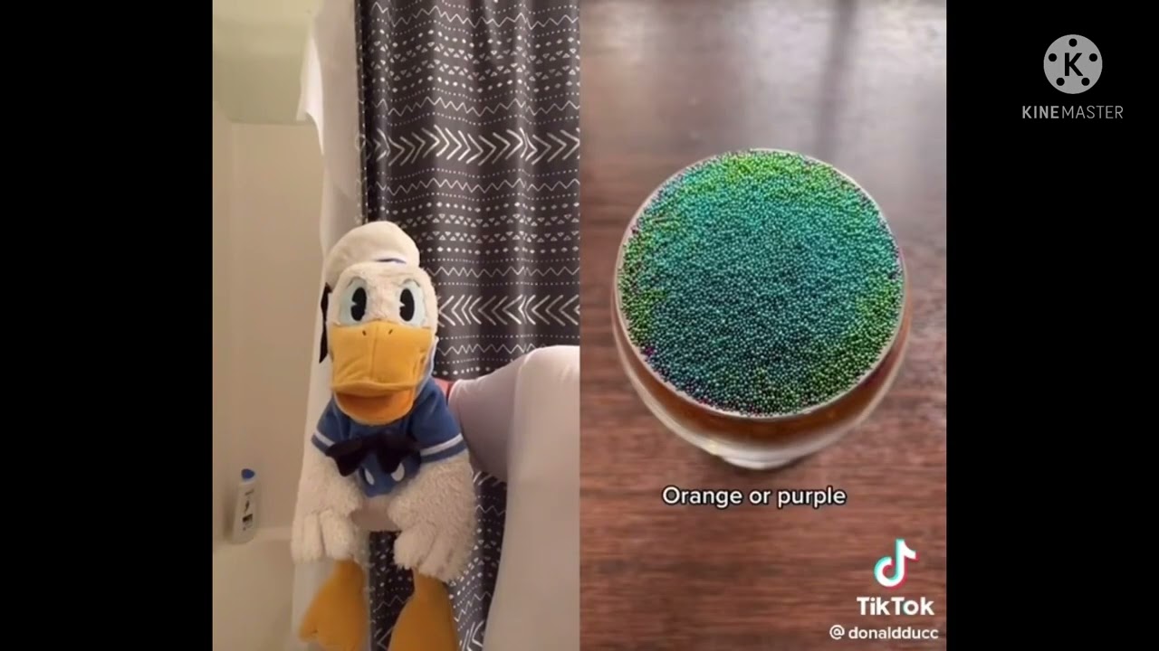 Donald Duck scream with subtitles @DonaldDucc - YouTube