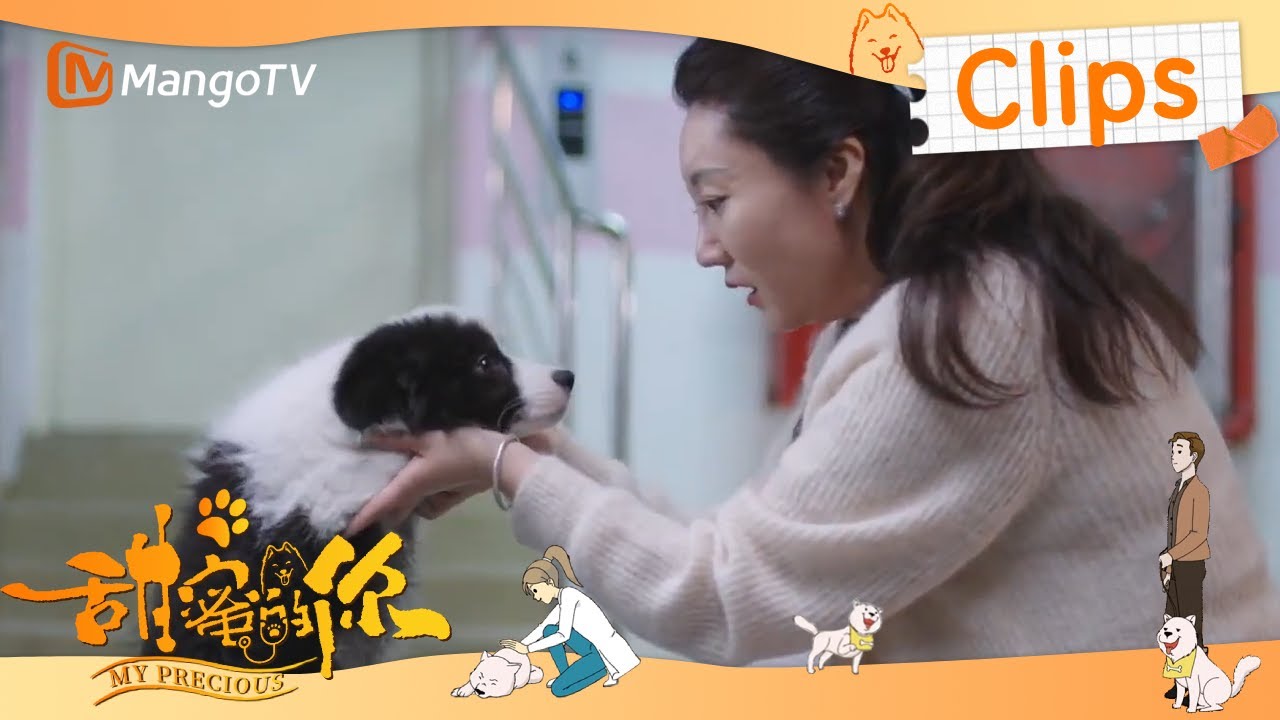 《甜蜜的你 My Precious》三个人找到了贝贝2号 |💕🐩 My Precious Highlights | MangoTV Drama ...