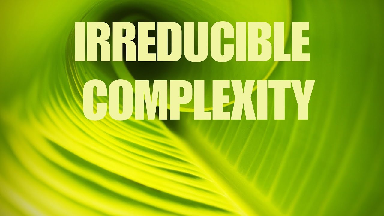 Irreducible Complexity - YouTube