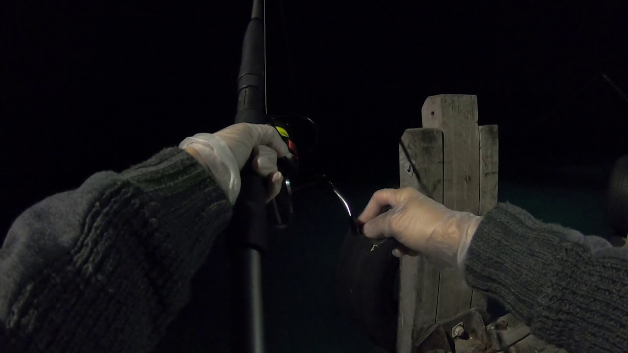 Pinoy in Australia | Fishing in Lancelin Jetty - a glimpse - YouTube