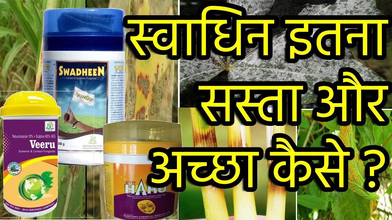 Excel Swadheen Fungicide/Haru Fungicide/Tebuconazole+Sulfer - YouTube