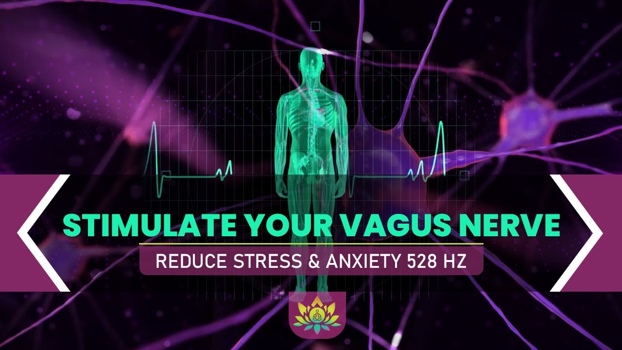Stimulate Your Vagus Nerve | Awaken Body Power, Increase Vagal Tone ...