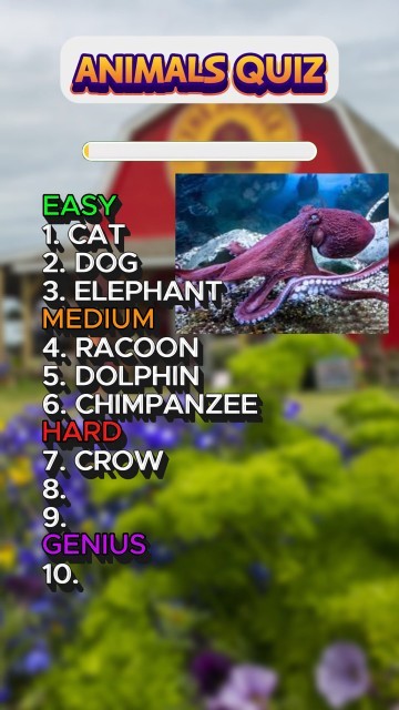 ANIMALS QUIZ - GENIUS - YouTube