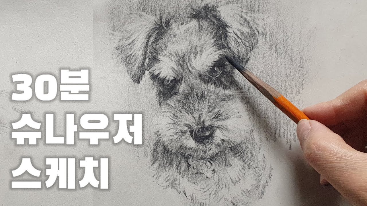 10분씩 더 그릴때마다 어떻게 변할까 30분 강아지 스케치 풀영상 Youtube
