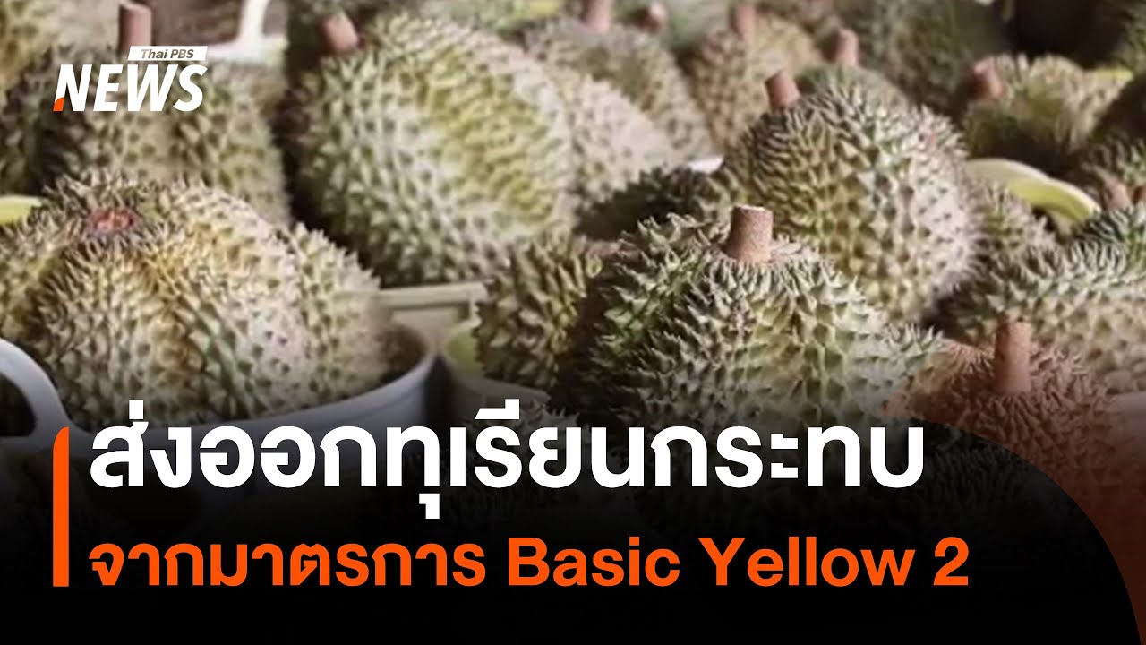 ส่งออกทุเรียนกระทบ จากมาตรการ Basic Yellow 2 | Thai PBS News - YouTube