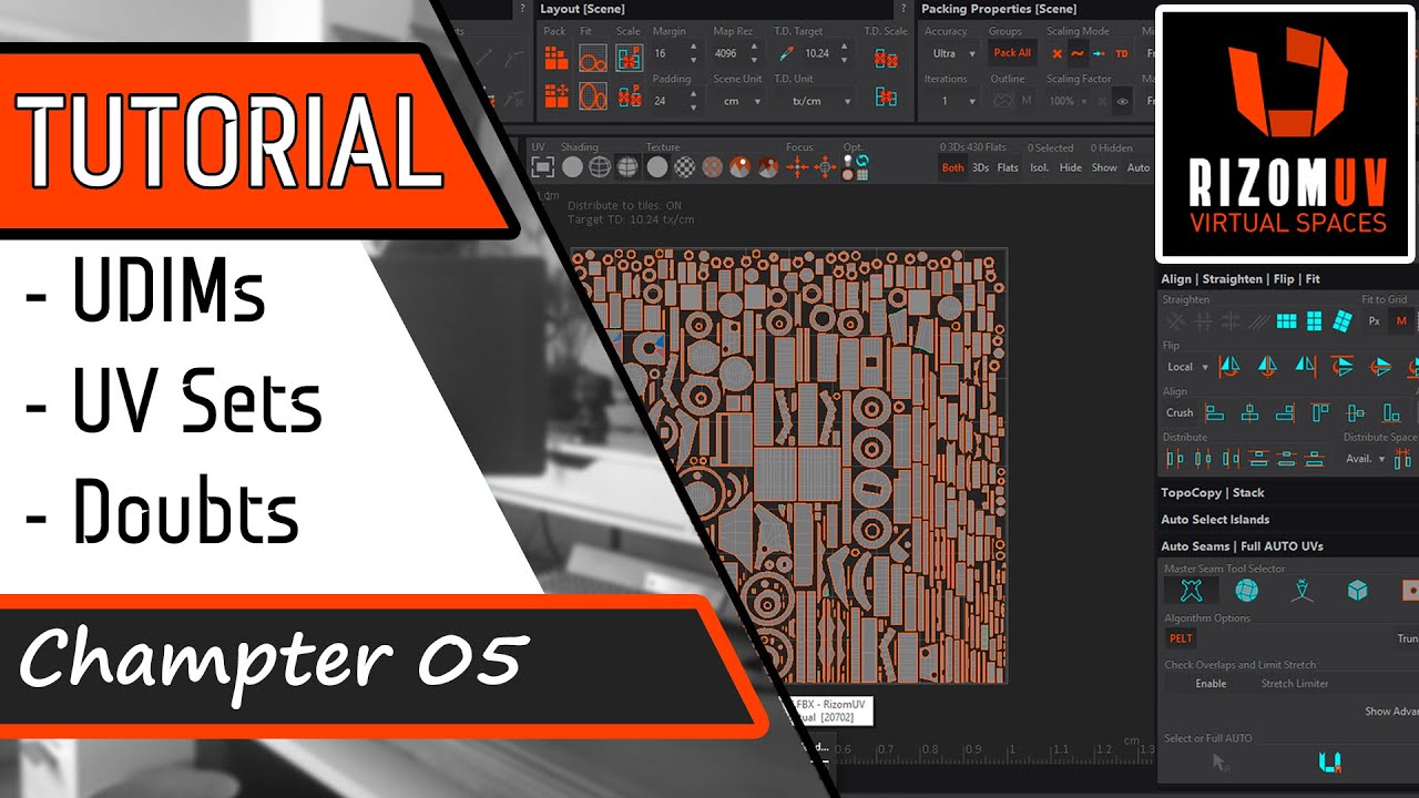 [PASO A PASO] RizomUV Curso GRATUITO, UDIMs y UVSets.05 - YouTube