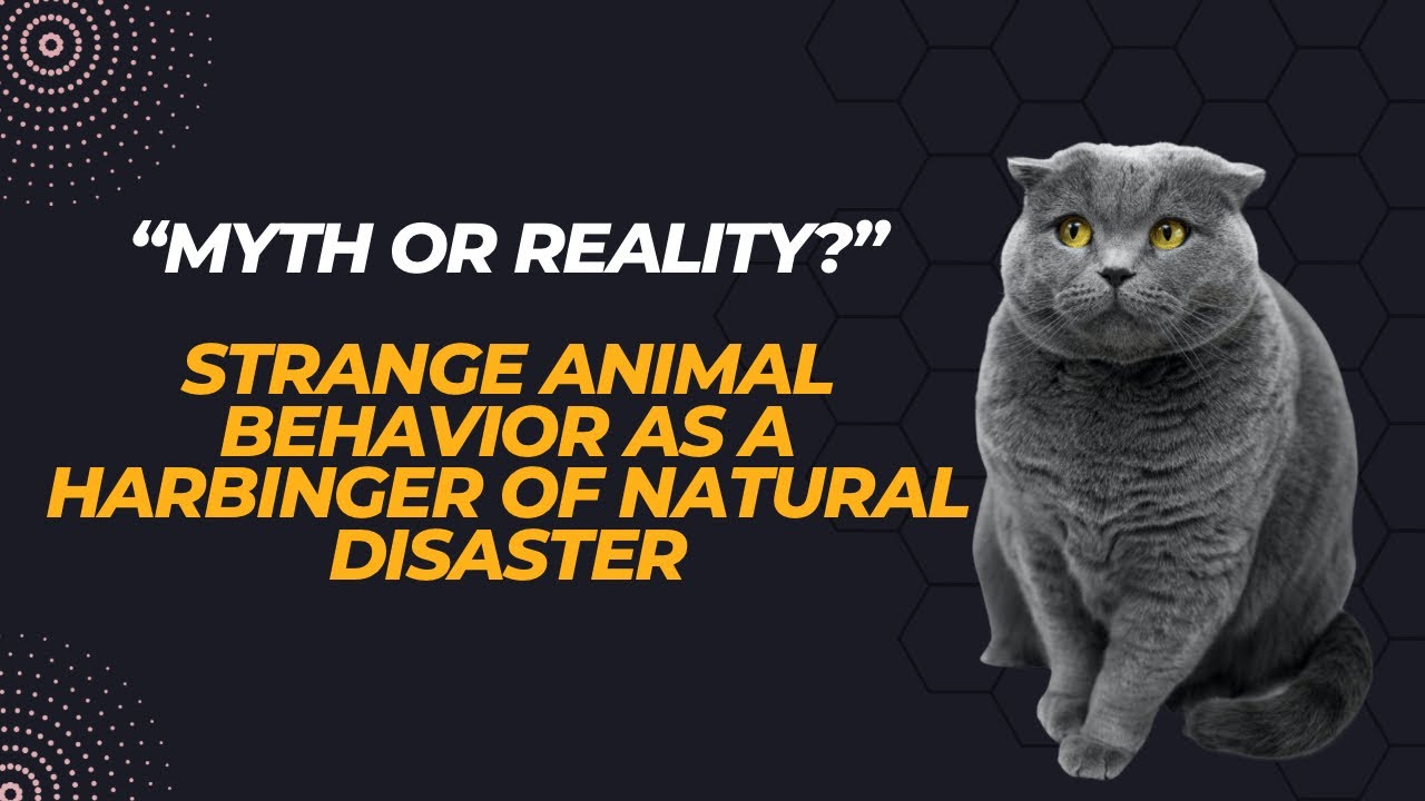 Amazing Facts: Strange Animal Behavior as a Harbinger of Natural ...