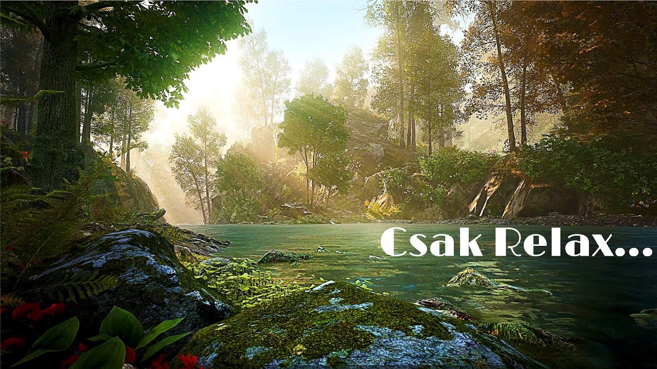 Relaxációs 👉ZONGORA ZENE , Patakcsobogással, Erdei Hangokkal, Inspiráló ...