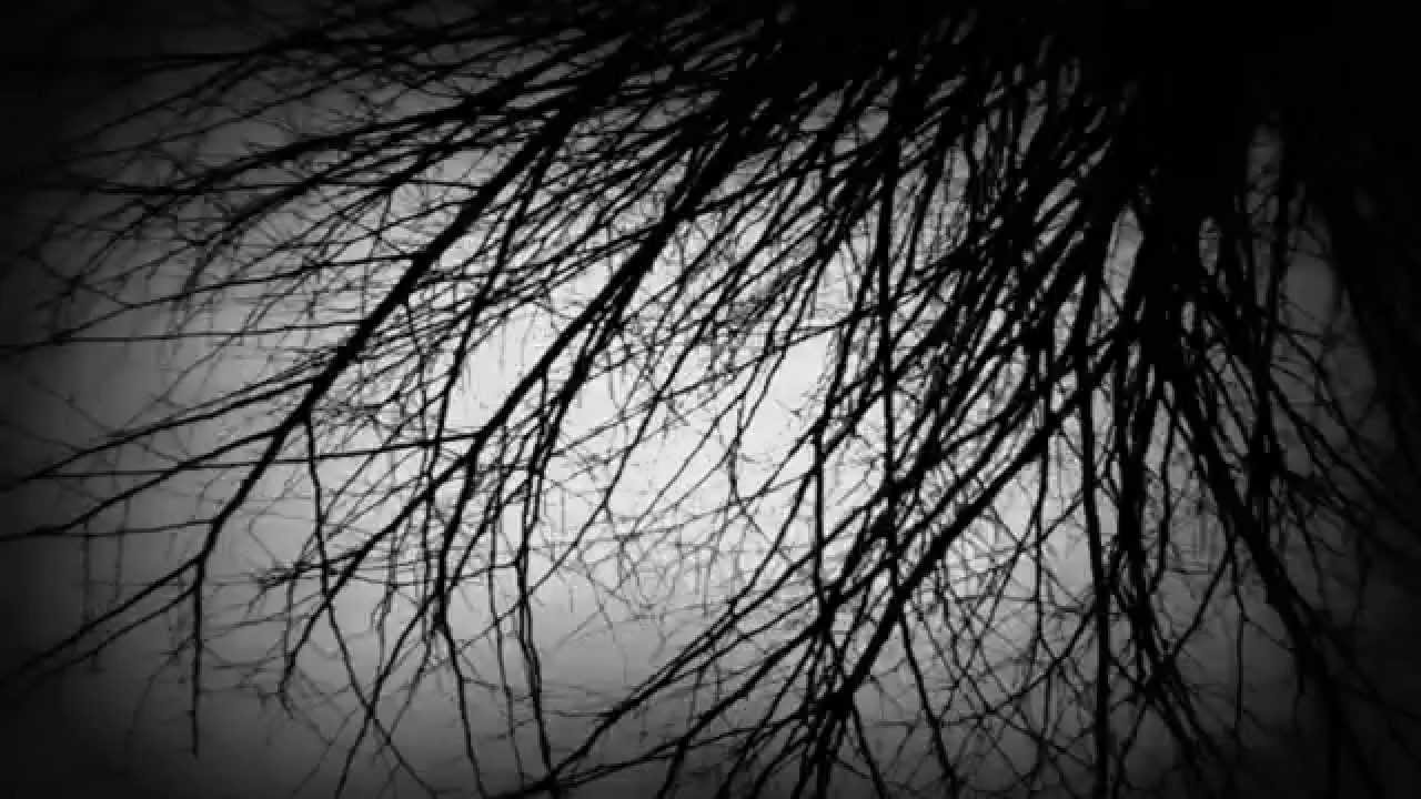 The Weight of Reality - YouTube