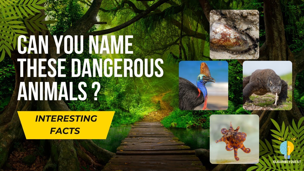 Hidden dangers: Discover the World’s Most Dangerous, Unknown Creatures ...