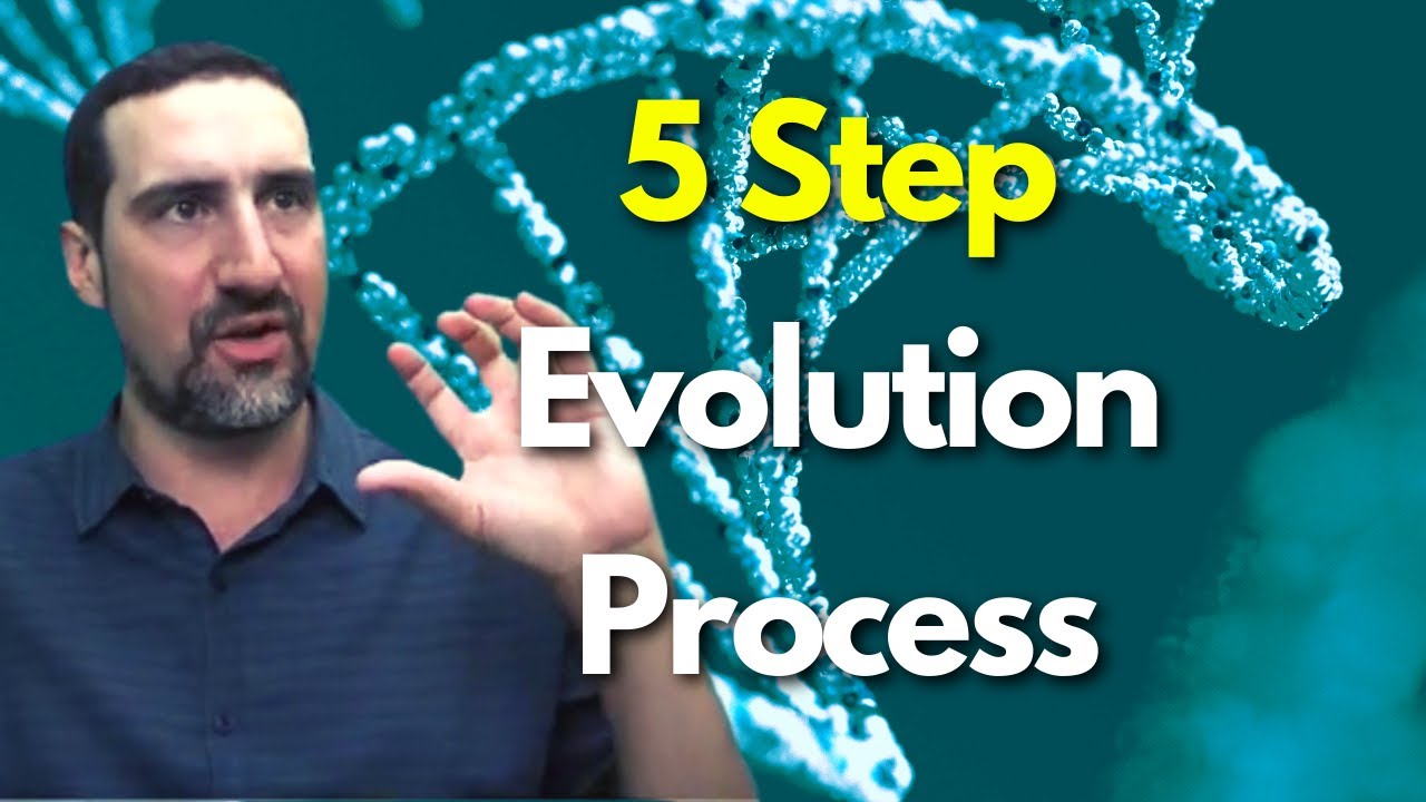 The 5-Step Evolution Process - YouTube