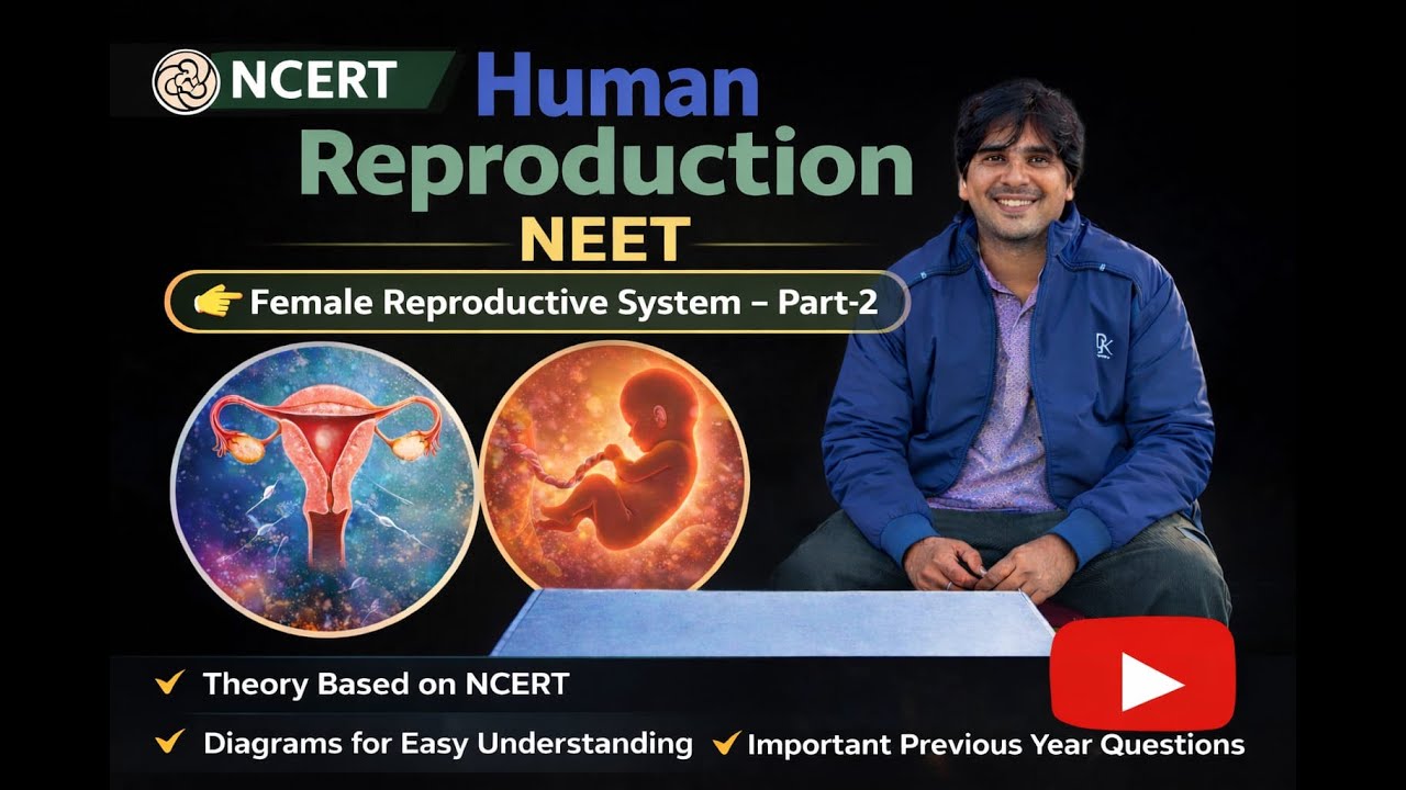 human reproduction part 2\neet|ncert liner - YouTube
