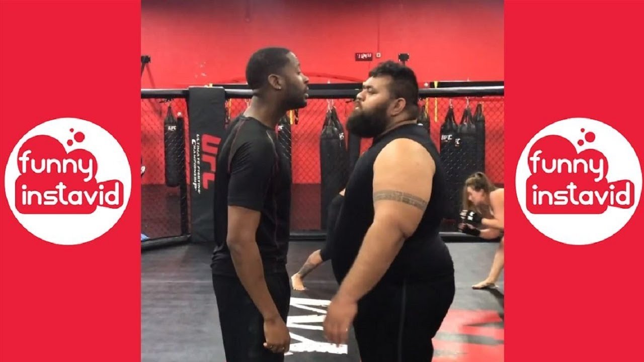 Splack New Videos 2019 | Splack Vine Compilation (W/Titles) - Funny ...