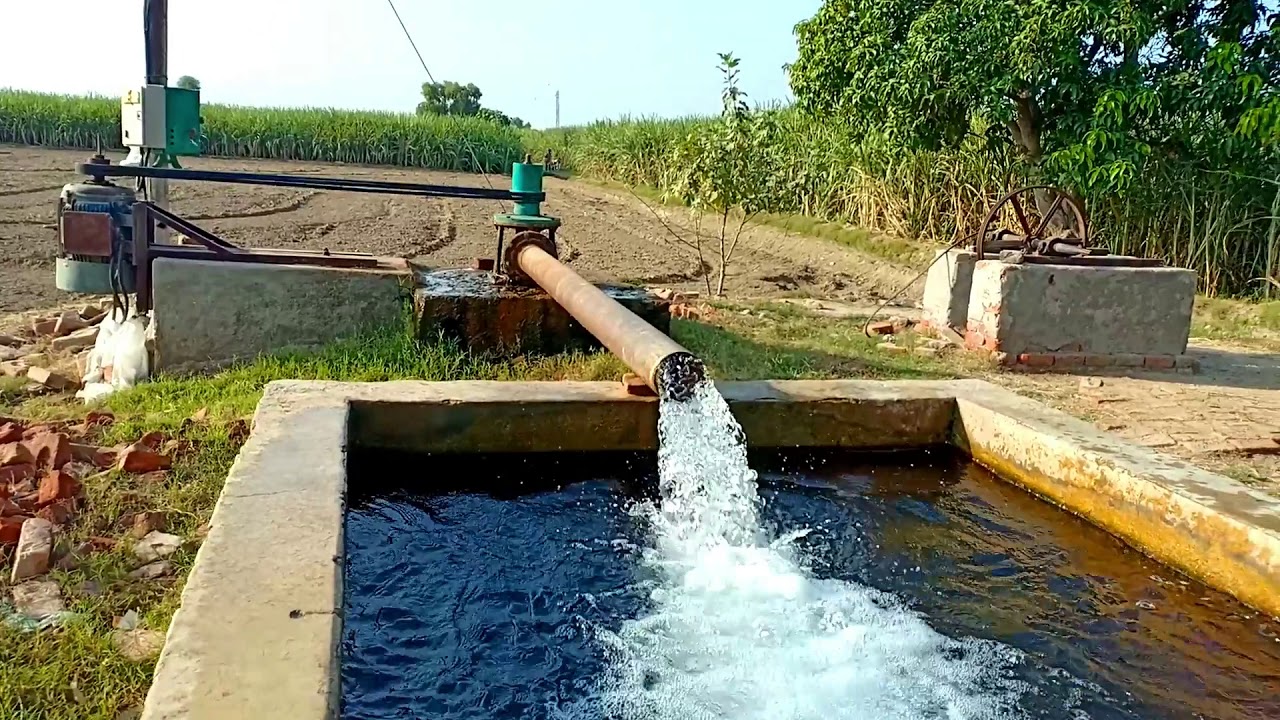Village life in Pakistan | Tube well in Punjab | Rural life farming and ...