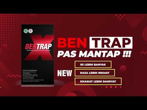 KING IS BACK - BENTRAP #stamina #dahsyat #gingseng #pria #pasutri #minumankekinian #bentrap
