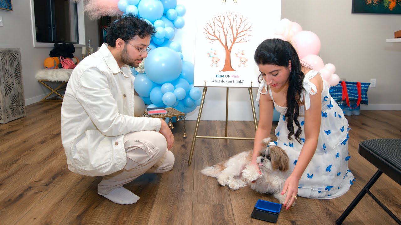 Murphy ne sabse pehle guess kiya!!! Yes it is a boy🧒 - YouTube