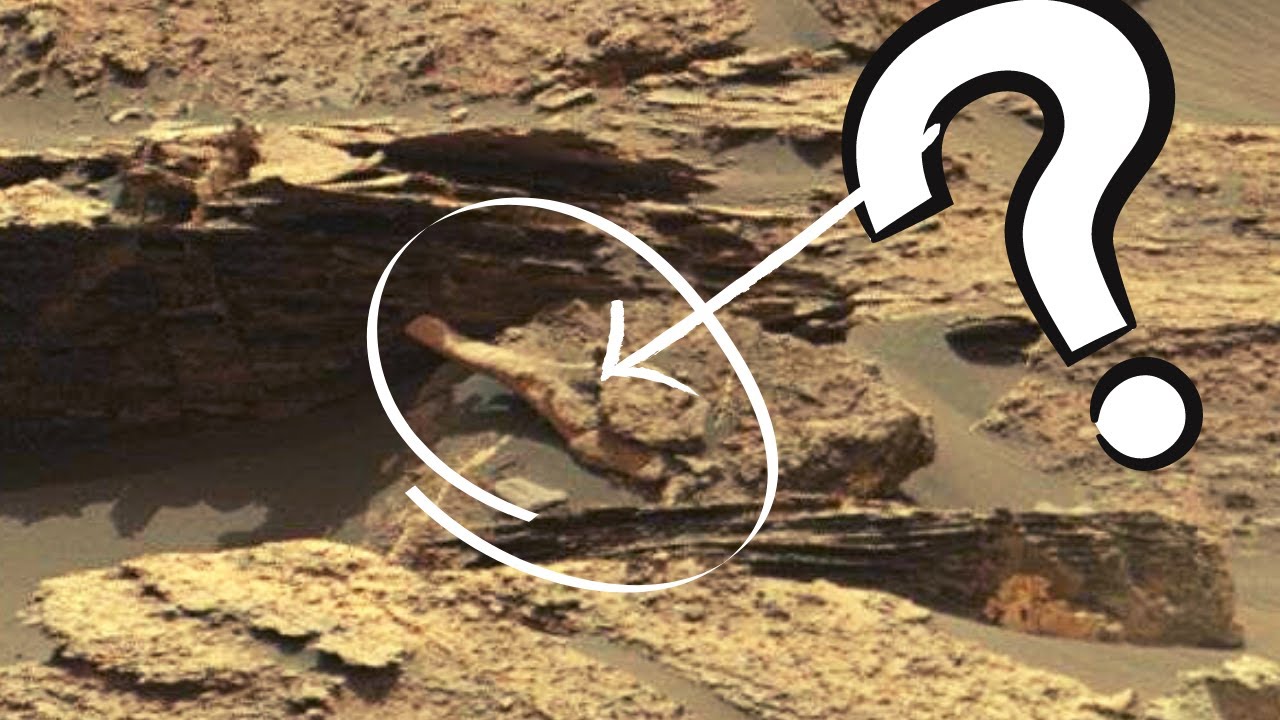 [#MarsNews]-Animal Bones Images on Mars Planet | Imágenes del planeta ...
