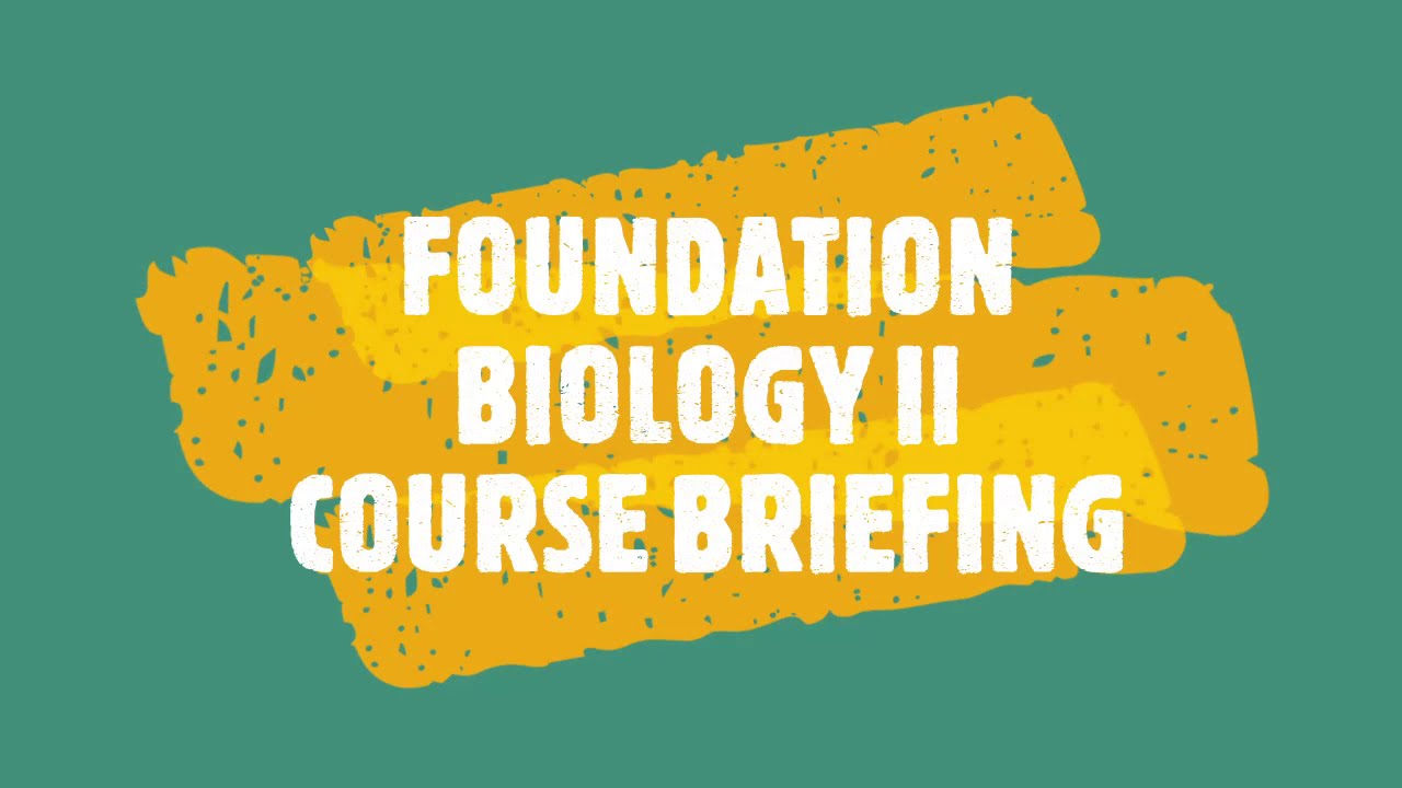 Foundation Biology II (BIO095) Briefing - YouTube