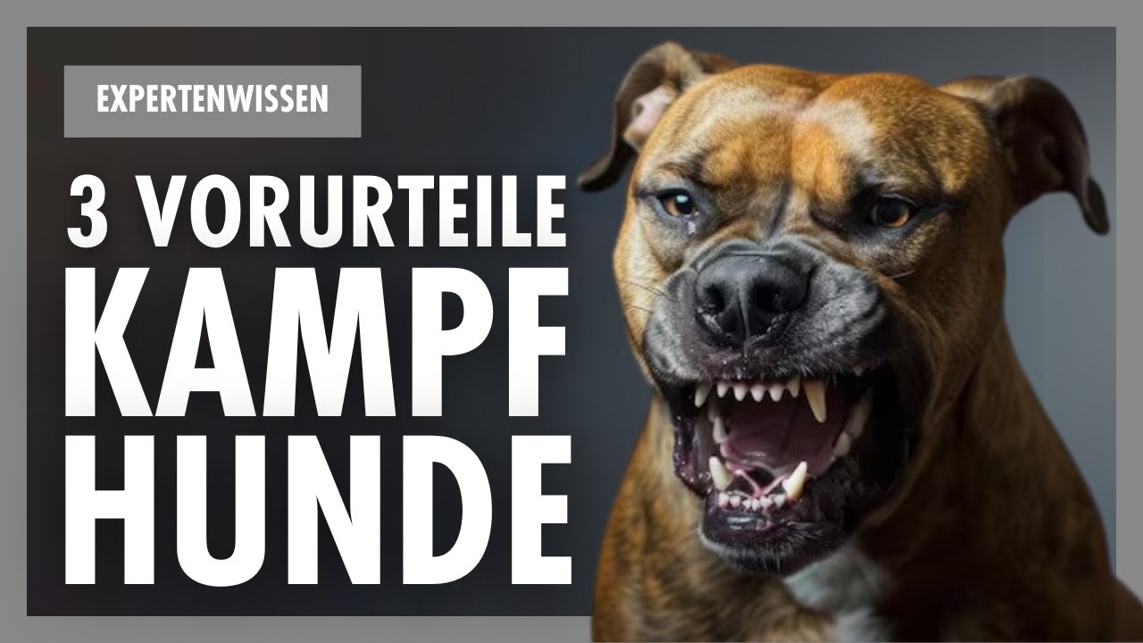 Die Schockierende Wahrheit Über Kampfhunde – Mythen, Fakten & Was ...