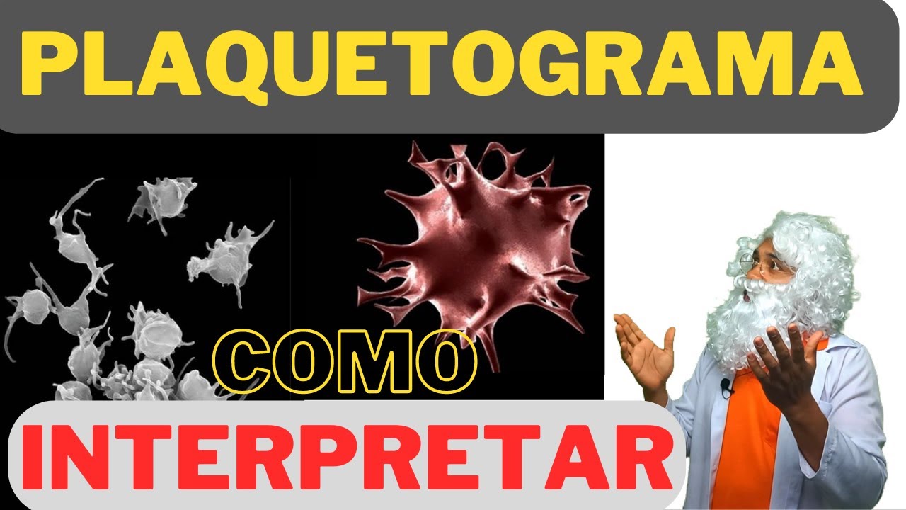 HEMOGRAMA- Plaquetograma completo (PASSO A PASSO) - YouTube