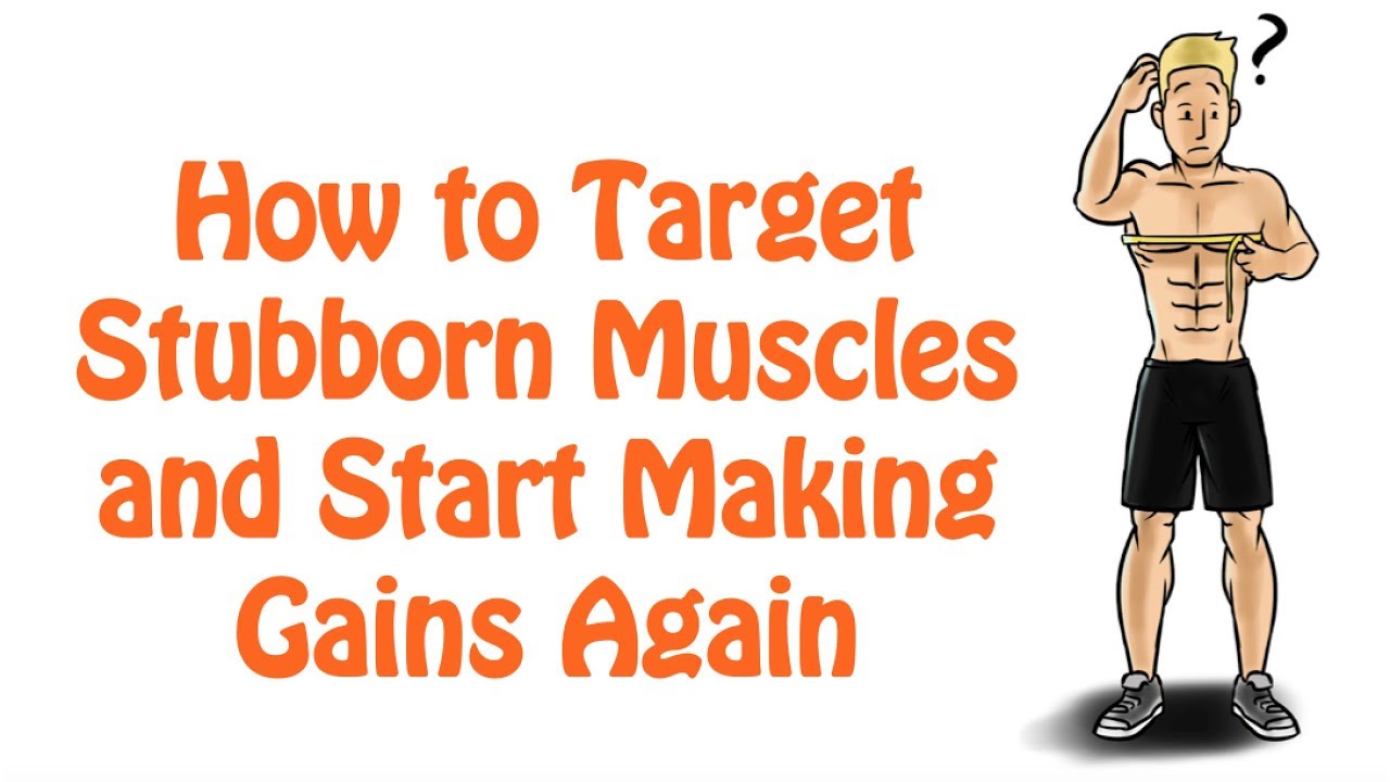 21. Custom Workout to Targeting Lagging Muscle Groups - YouTube