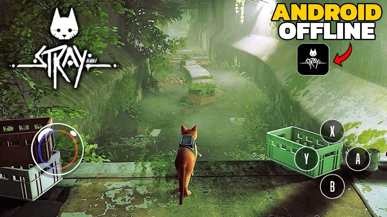 Main STRAY Tapi di Android - STRAY Mobile Offline (Citron) - YouTube