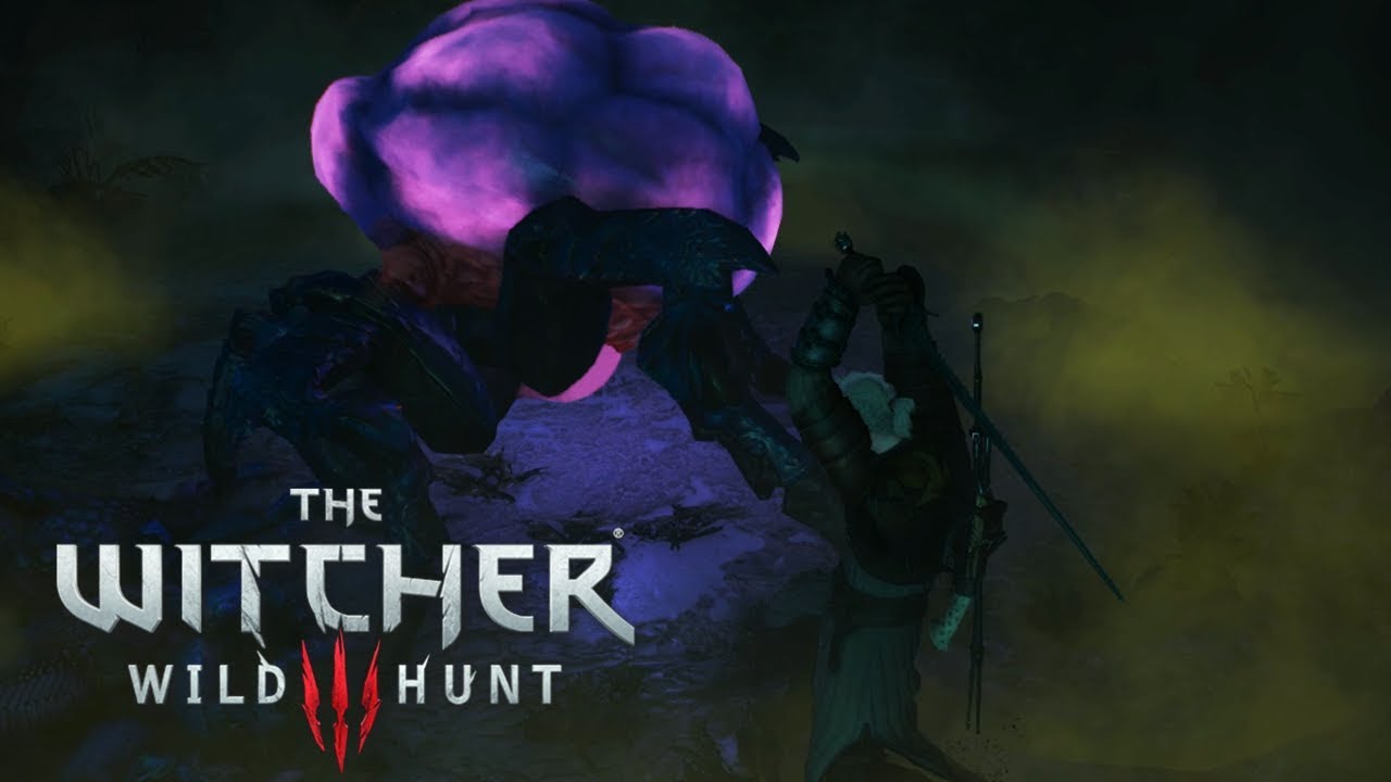 HARRISI BOSS FIGHT - The Witcher 3: Wild Hunt - YouTube