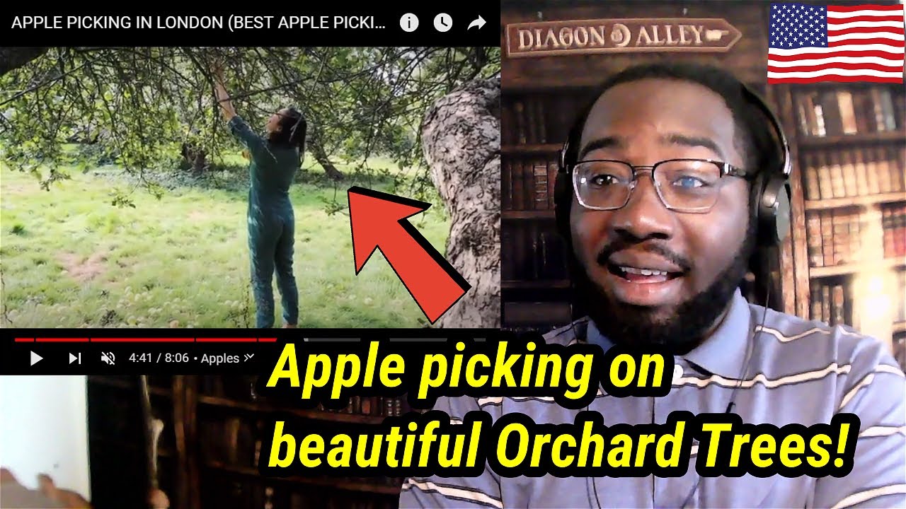 American Guy Reacts to BEST APPLE PICKING FARM NEAR LONDON!! - YouTube