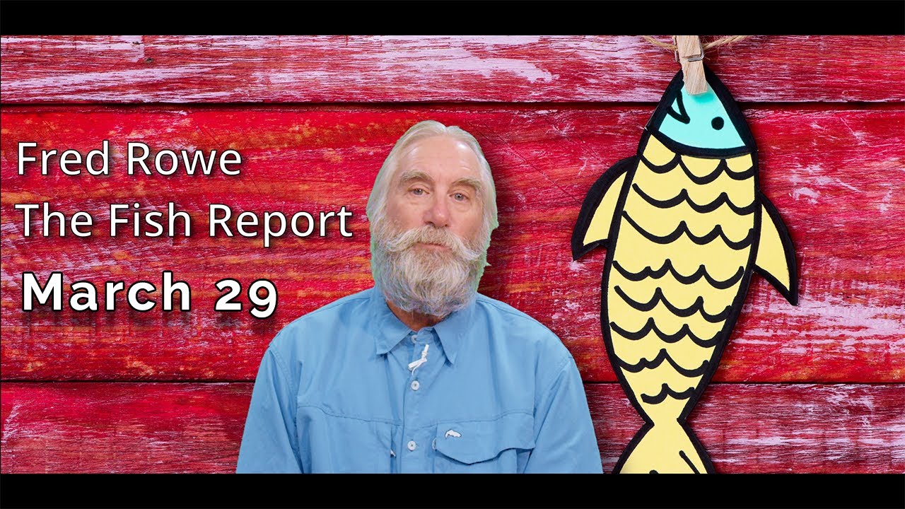 Fred Rowe Fish Report March 29, 2023 - YouTube