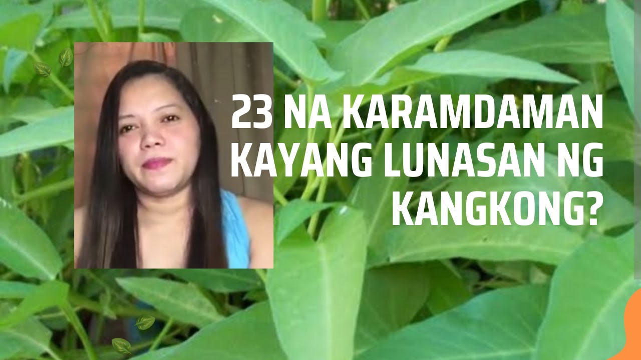 5 Mayamang Karamdaman at 18 Pang Mga Karamdaman Kangkong Lang Ang ...