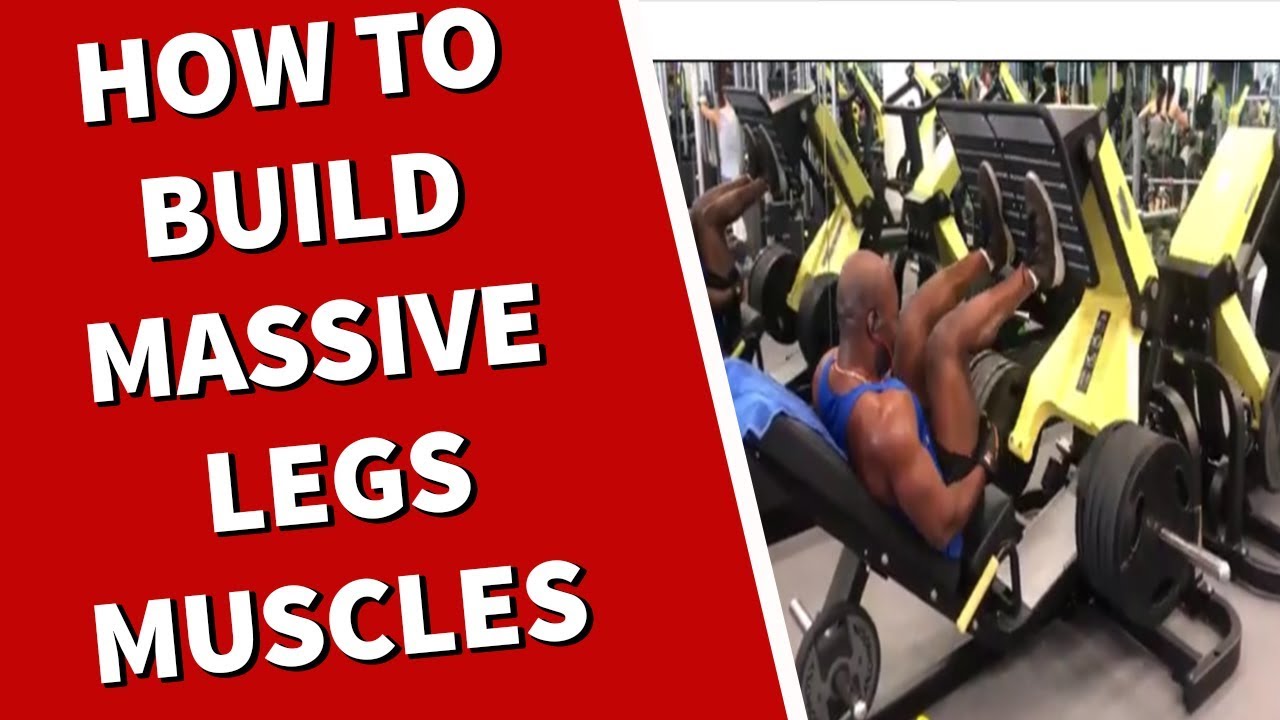 Do These LEGS Workout to Build Massive Muscles - YouTube